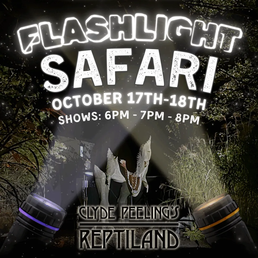 Safari Flashlight at Reptiland - Lycoming County Visitor's Bureau